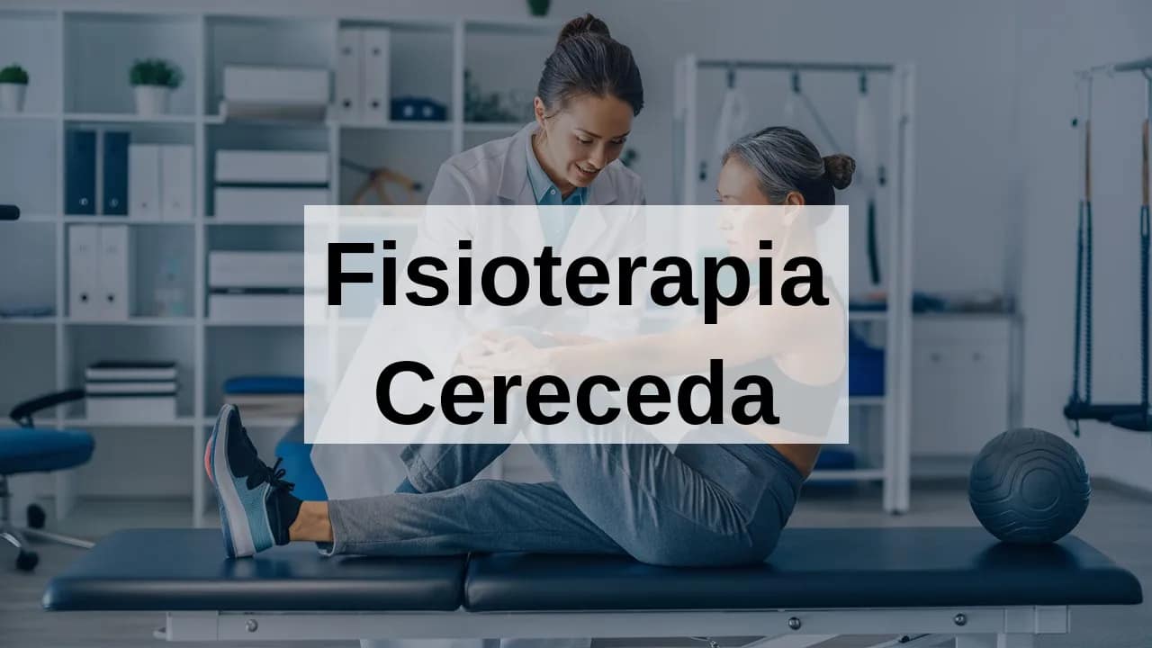 Fisioterapia Cereceda 《 OPINIONES